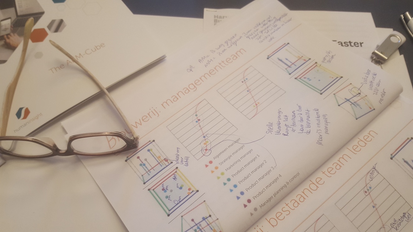 Ontdek jouw teamprofiel met de AEM-Cube talentmeting